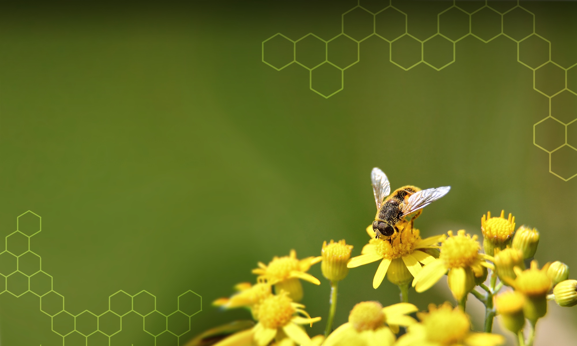 Inloggen – Talent & Succes